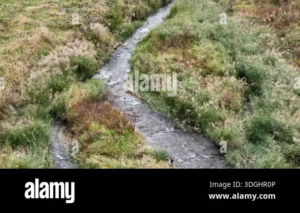 Small stream flowing through green grass landscape Stock Video Footage ...