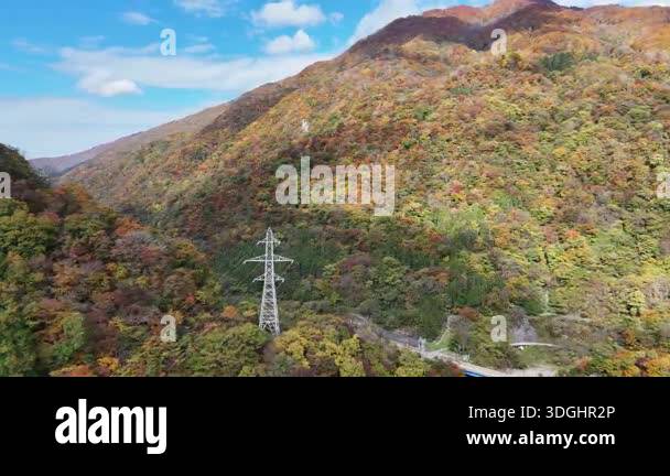 Power lines running through colorful autumn forest landscape Stock ...