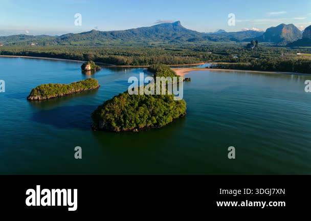 Aerial Survey Mangrove Islets And Coastal Forest Showing Tidal Channels ...