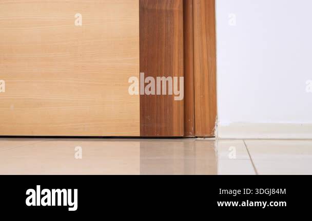 A dachshund wearing a bright pink superhero or thief mask and light ...