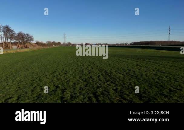Wide Green Field Under Clear Sky, Expansive Meadow Carpeted With Deep ...