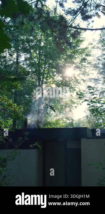 Smoke rising from a chimney of a modern cabin in the woods with sun ...
