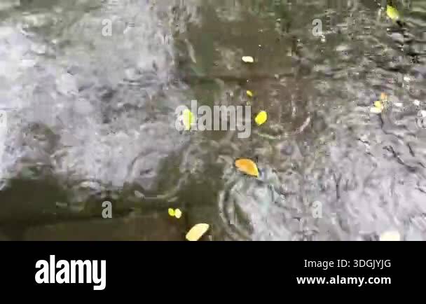 Rain moment Stock Videos & Footage - HD and 4K Video Clips - Alamy