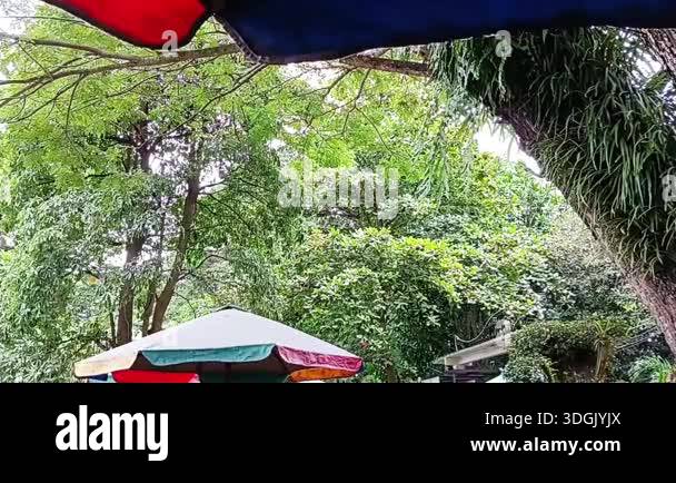 Open air view from the campsite Stock Video Footage - Alamy