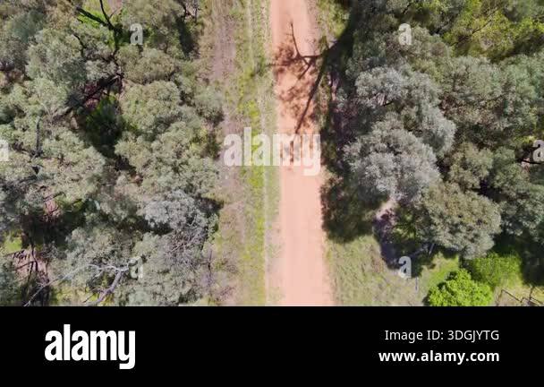 Drone flies over a bushland dirt track Stock Video Footage - Alamy
