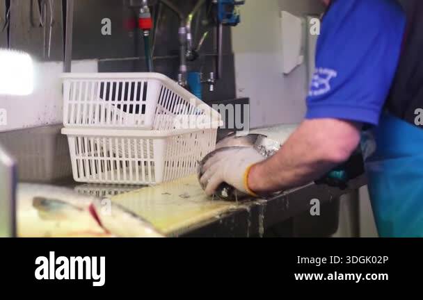 Victoria fish market Stock Videos & Footage - HD and 4K Video Clips - Alamy