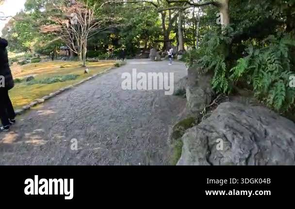 A peaceful walk in a traditional Japanese garden Stock Video Footage ...