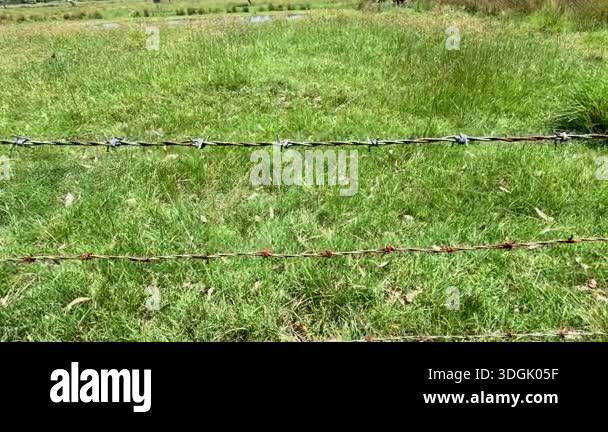 Pan across barbed wire fence and grass Stock Video Footage - Alamy