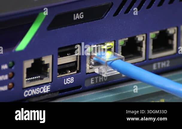 Close-up of blue Ethernet cable connected to a gigabit network switch ...