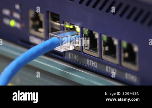 Close-up of blue Ethernet cable connected to a gigabit network switch ...