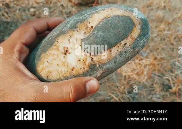 Unique Oval River Stone Revealing Eye Like Natural Mineral Pattern ...