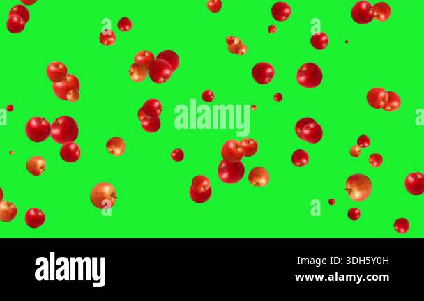 Fresh red apples motion graphics with green screen background Stock ...
