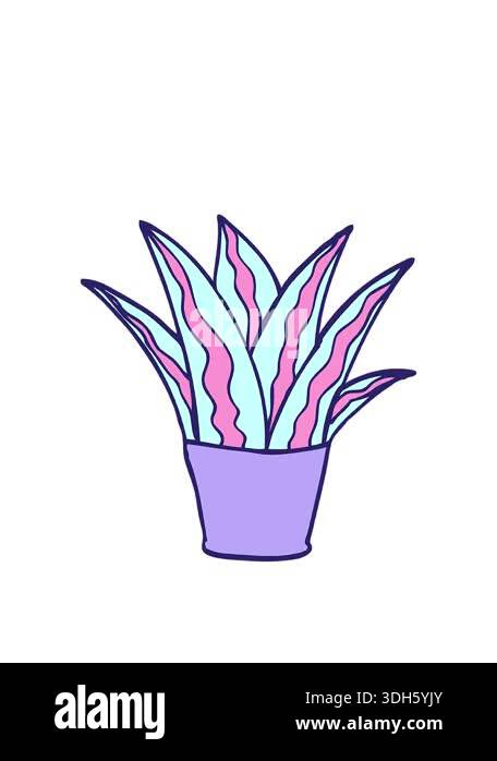 stretching up animation of cartoon doodle house plant Stock Video ...