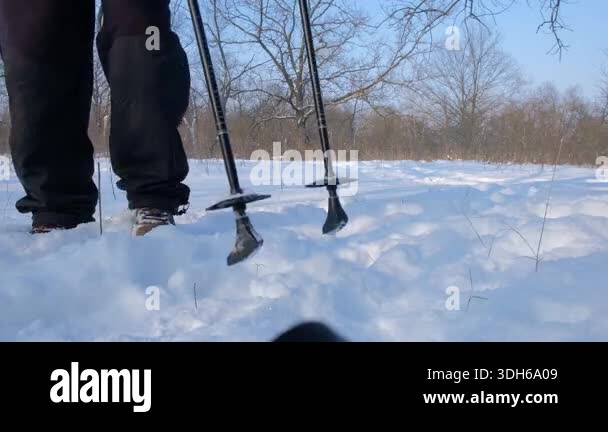 Person walking in deep snow with trekking poles in winter forest. Close ...