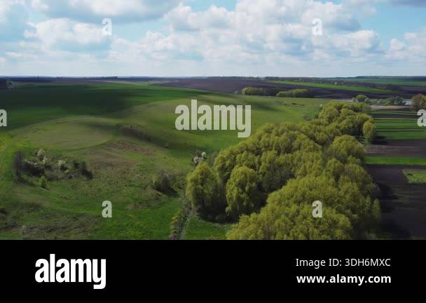 Old willows in small river valley in springtime, aerial view Stock ...