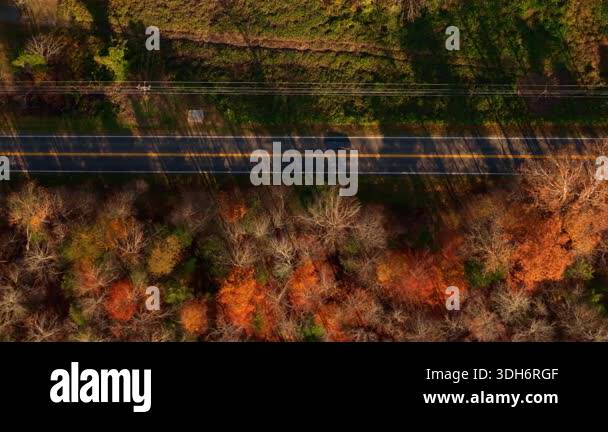 Drone top-down view of mountain road surrounded by vibrant autumn ...