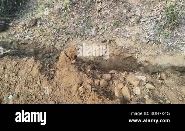 An excavator uses its bucket to dig a narrow trench for laying pipes ...