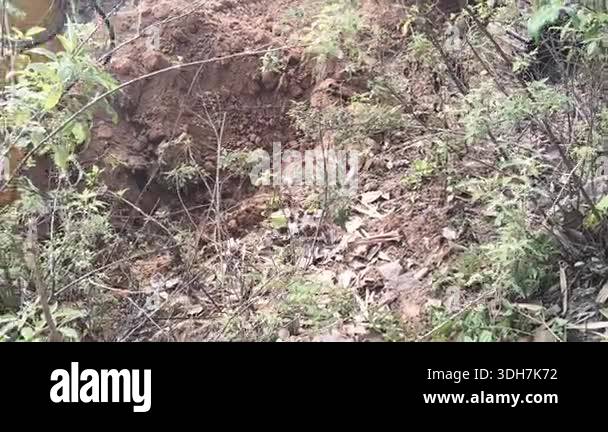 An excavator uses its bucket to dig a narrow trench for laying pipes ...