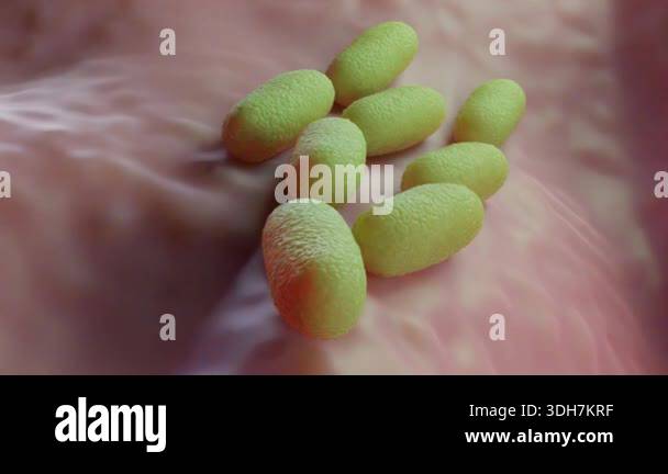 Active Bacteria Colony - Microscopic Pathogen Animation Stock Video ...