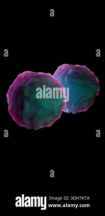 Bone Cell Structure - Osteocyte Microscopic Animation Stock Video ...
