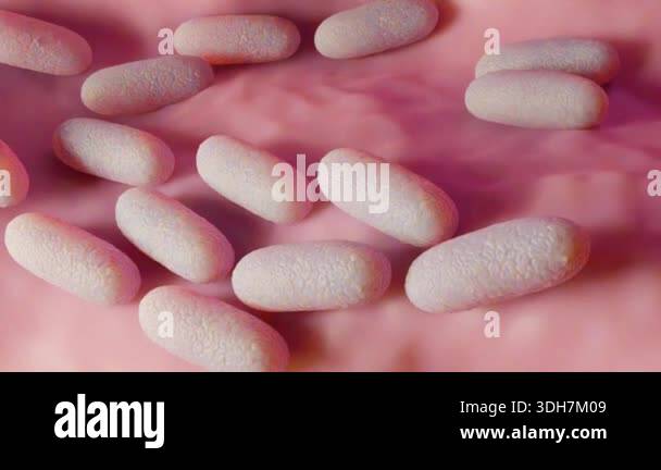 Microscopic pathogen bacteria Stock Videos & Footage - HD and 4K Video ...