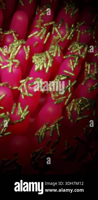 Intestinal Bacteria Flora - Gut Microbiome Animation Stock Video ...