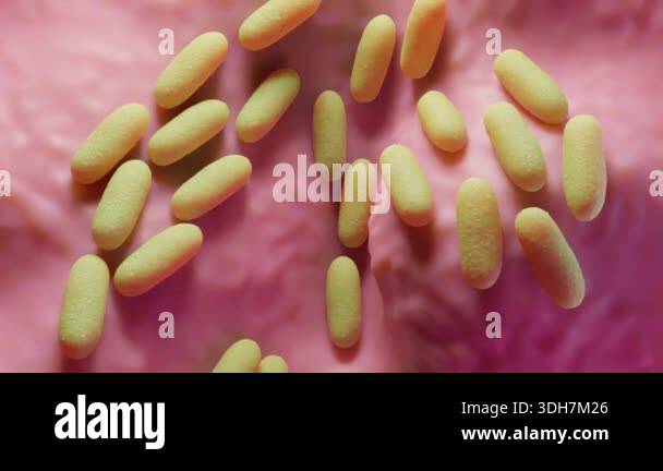 Active Bacteria Colony - Microscopic Pathogen Animation Stock Video ...