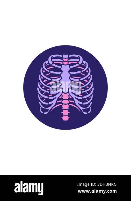 sales flash animation of image of a rib cage Stock Video Footage - Alamy