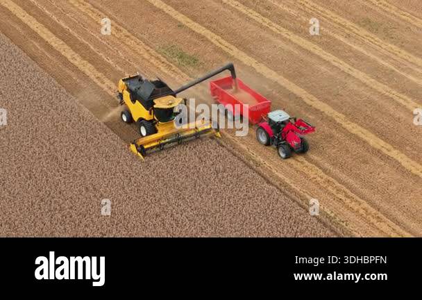 Combine harvesting wheat and unloading grain into tractor trailer ...