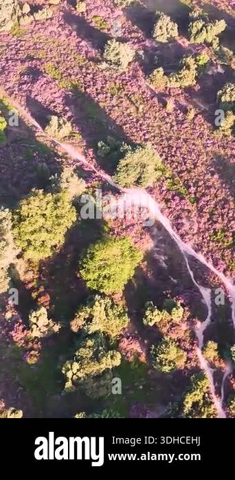 Top-down aerial drone shot flying over a beautiful landscape with ...