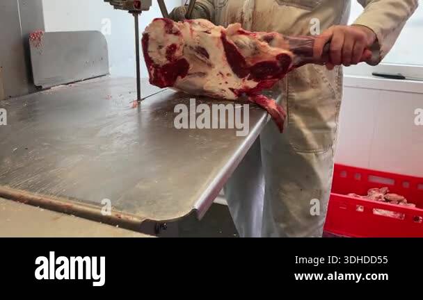 Butcher cutting chevon goat meat Stock Videos & Footage - HD and 4K ...