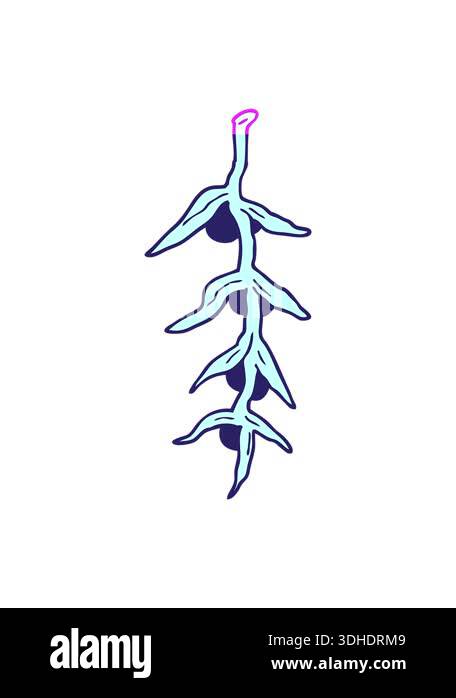 power up animation of cartoon plant drawing Stock Video Footage - Alamy