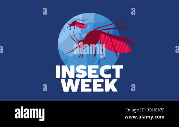 national insect week for insect conservation Stock Video Footage - Alamy