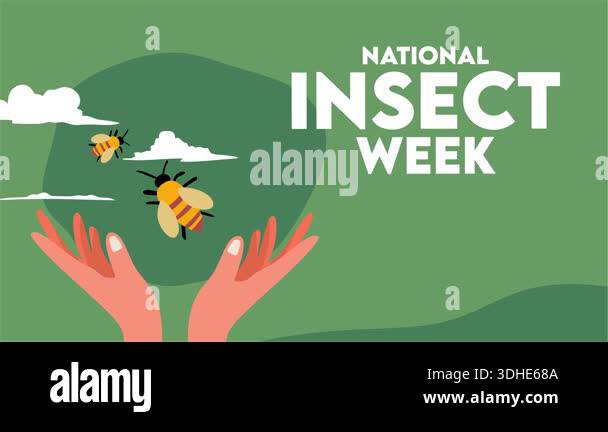 national insect week for insect conservation Stock Video Footage - Alamy