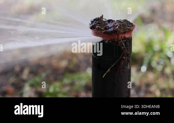 Faulty pop up sprinkler head spewing water uncontrollably. Inefficient ...