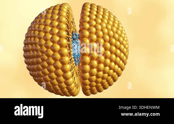 3D animation of a liposome splitting. It shows the lipid bilayer ...