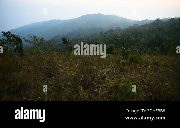 Mountain Landscape with Forest at Daytime Stock Video Footage - Alamy