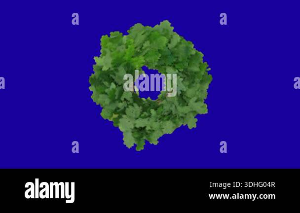 Floral animation on green screen Stock Video Footage - Alamy