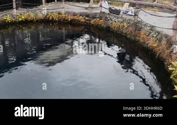 Oshino, Japan- 20 Dec 2025: Nakaike Pond of Oshino Hakkai, Japan. It is ...