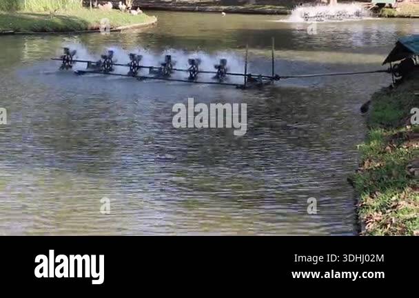 Travel route in nature tropical plants resort, stock footage Stock ...