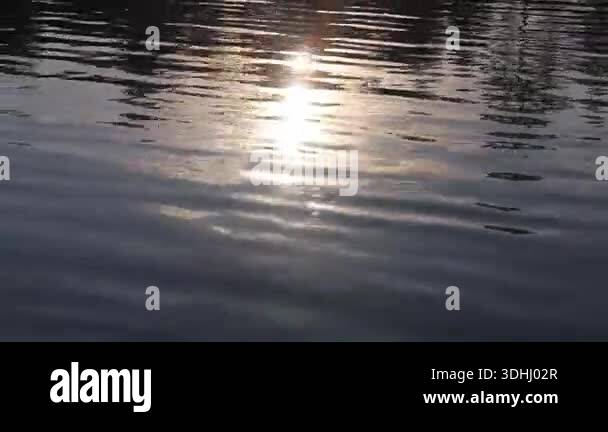 Travel route in nature tropical plants resort, stock footage Stock ...