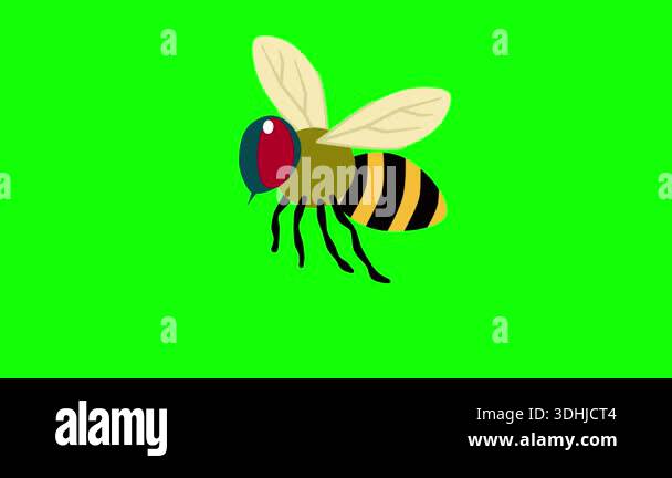 Hoverfly Flying Loop Animation on Green Screen Background Stock Video ...