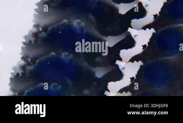 Blob ink defocused. Color fluid dripping. Blue watercolor dye blotch on ...