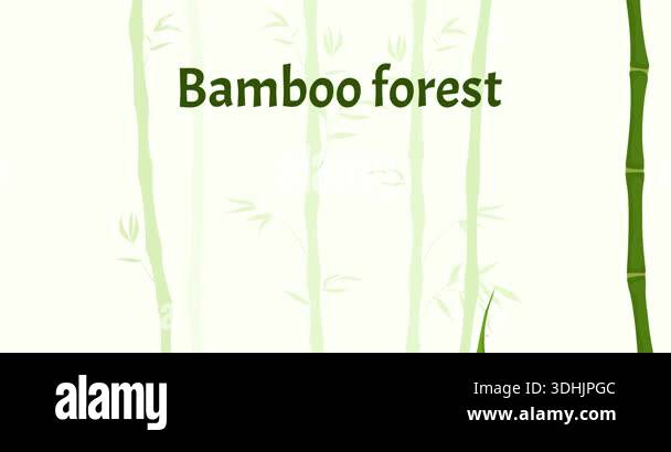 Bamboo forest background. Moving banner featuring Asian bamboo trees ...