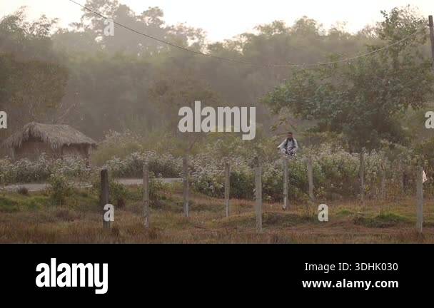 10 January 2026, Dibrugarh, Assam, India: A man rides a bicycle along a ...