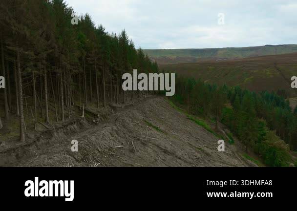 Deforestation spreading across mountain slope revealing barren terrain ...