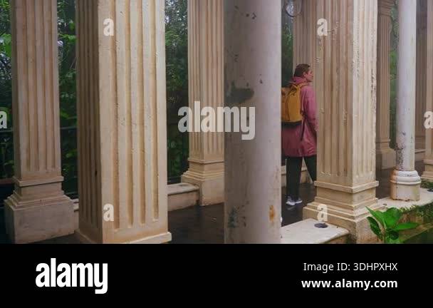 Architecture plants green greenery column columns Stock Videos ...