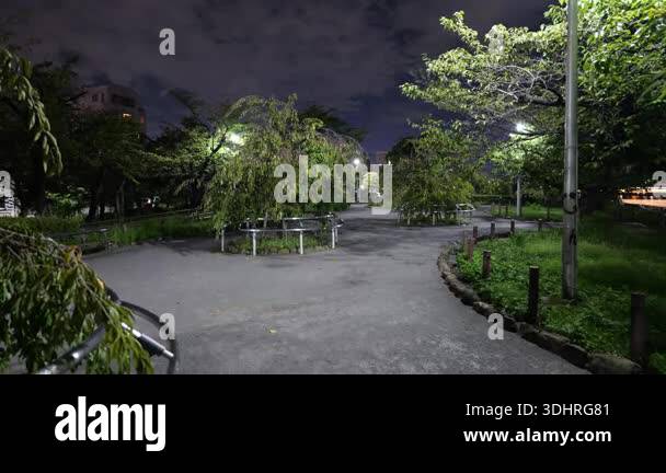 Sumida Park, Japan Tokyo Night View October 2025 Stock Video Footage ...