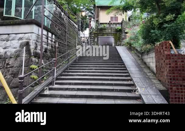 Suga Shrine, Japan Tokyo Early morning 2024 Stock Video Footage - Alamy