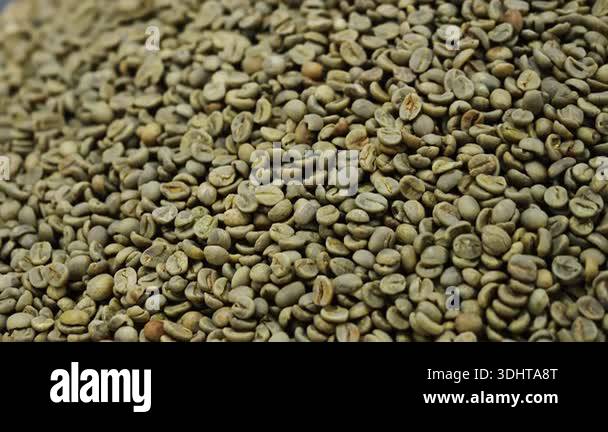 Close up background of green unroasted coffee beans as raw coffee ...